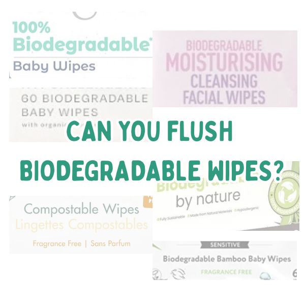 Can You Flush Biodegradable Wipes? | The Nappy Gurus